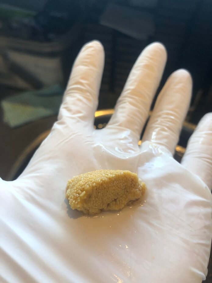 How to make Kappo Cuisine: Ultimate Guide - Osaka.com