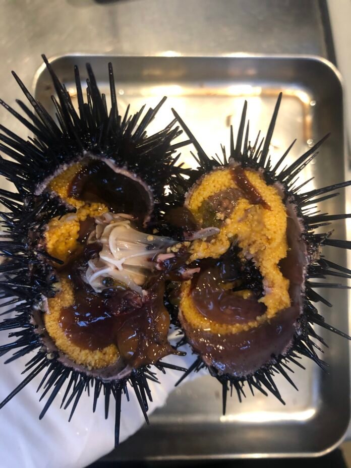 How to make Kappo Cuisine: Ultimate Guide - Osaka.com