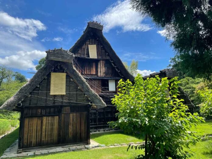 Experience Japanese Countryside in Hattori Ryokuchi Park, Osaka