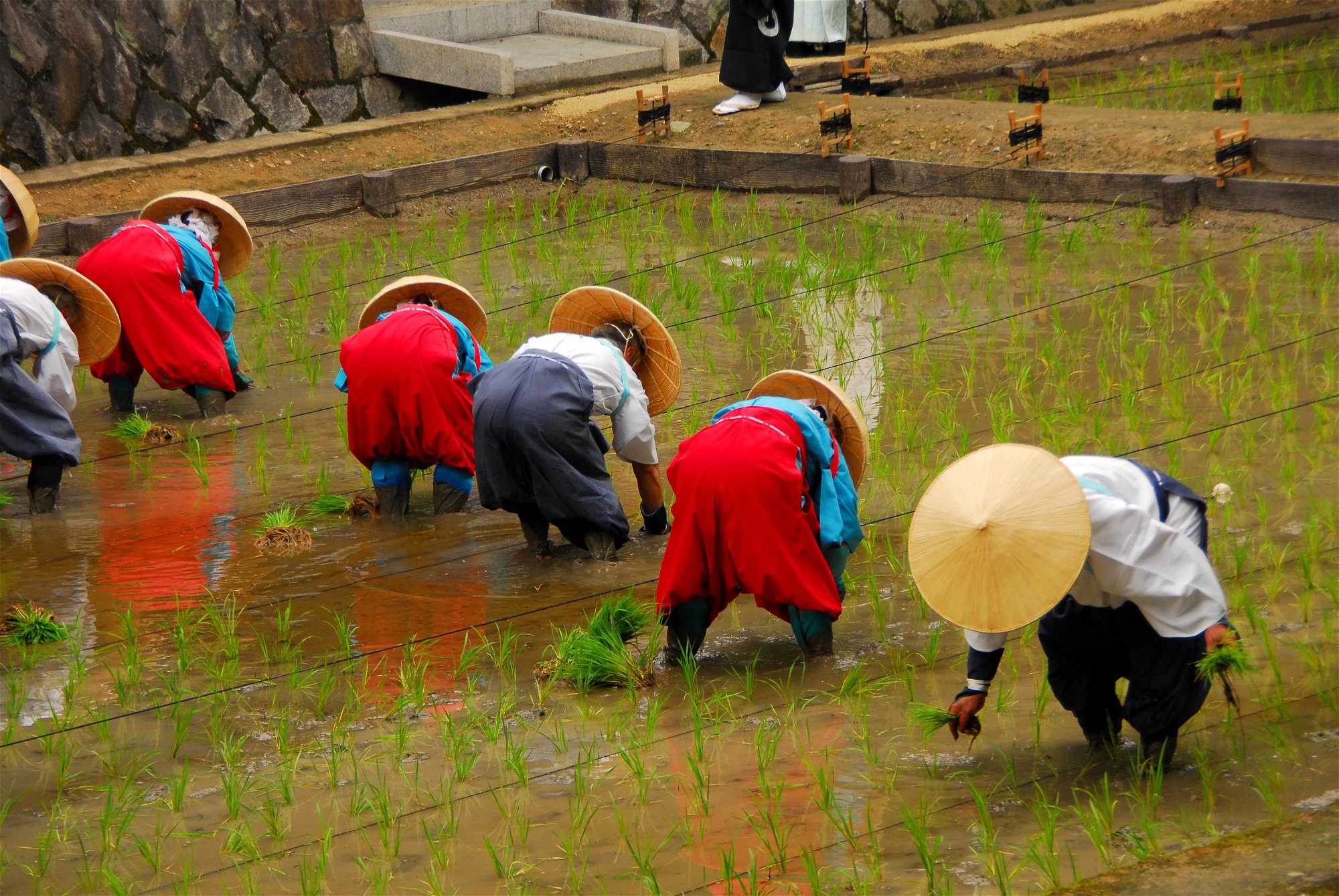 Otaue Shinji Festival - Blessing the rice fields - Osaka.com