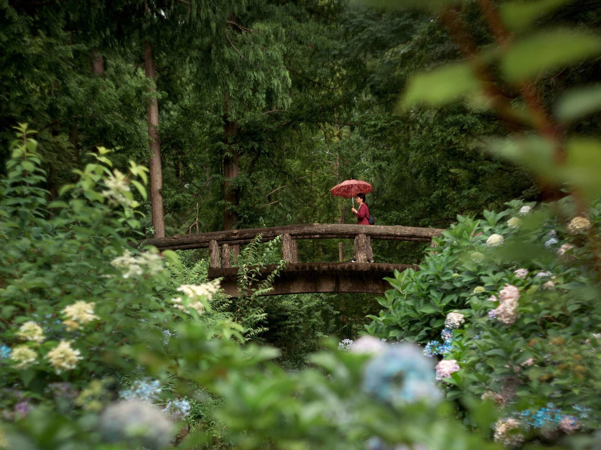 Best Parks to Visit in Osaka - Osaka.com