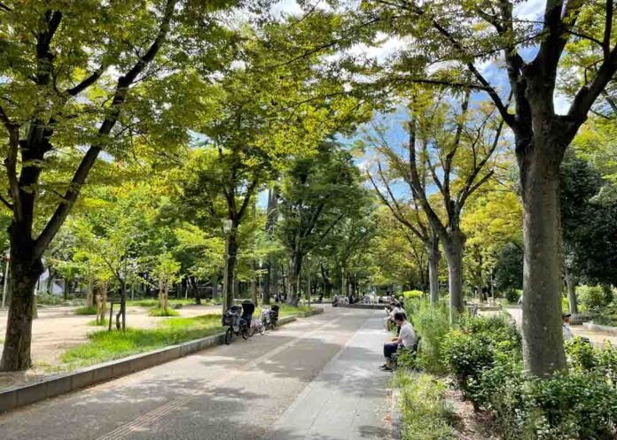 Best Parks to Visit in Osaka - Osaka.com