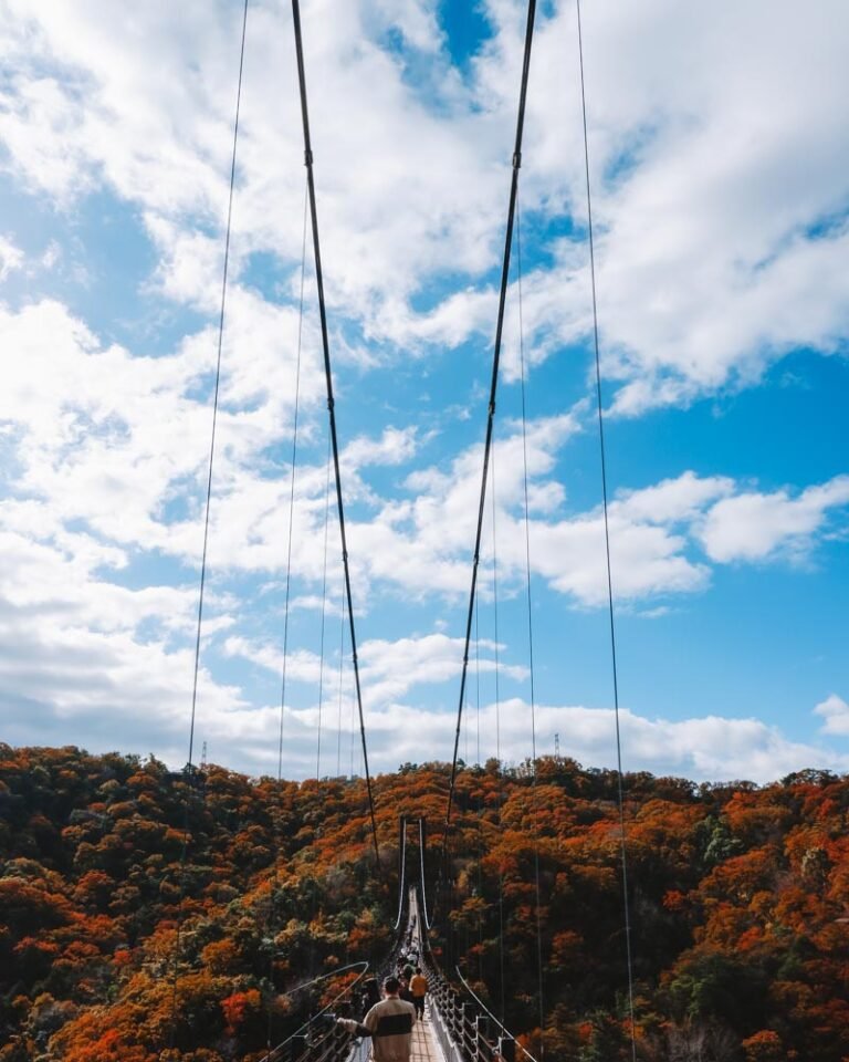 Autumn in Osaka - Best Places to See Autumn Foliage - Osaka.com