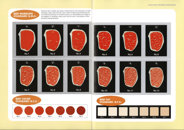 Japanese Wagyu Beef - The Essential Guide