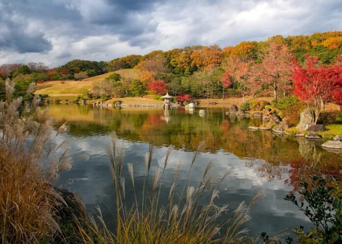 Autumn in Osaka - Best Places to See Autumn Foliage - Osaka.com