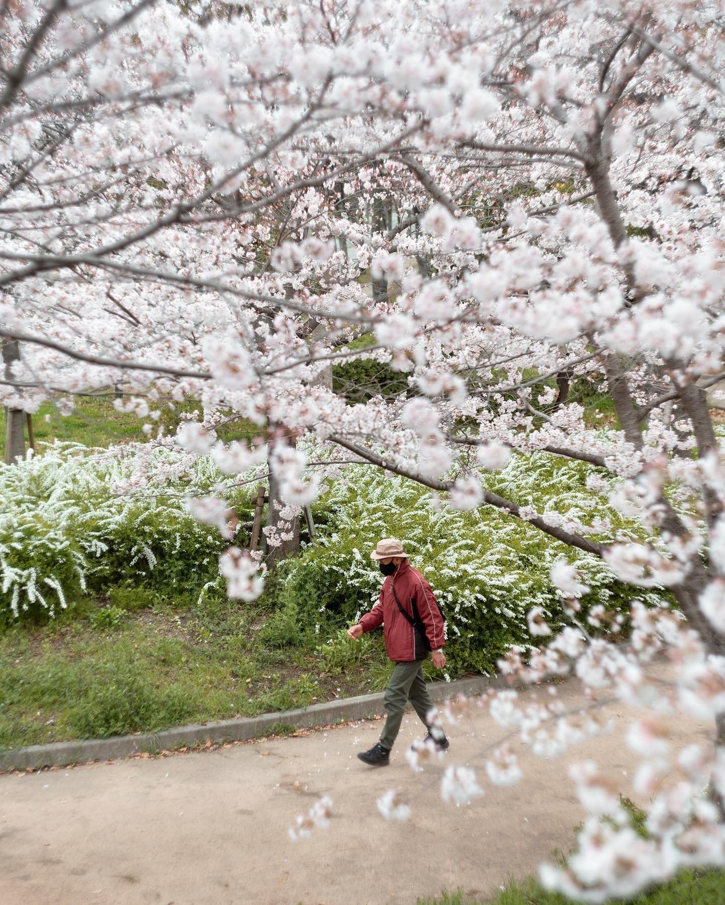551 Horai: The Top 5 Foods to Try on Your First Visit - Osaka.com