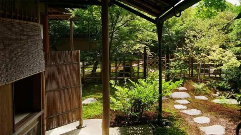 Getting to Know Historical tea master Sen no Rikyu - Osaka.com