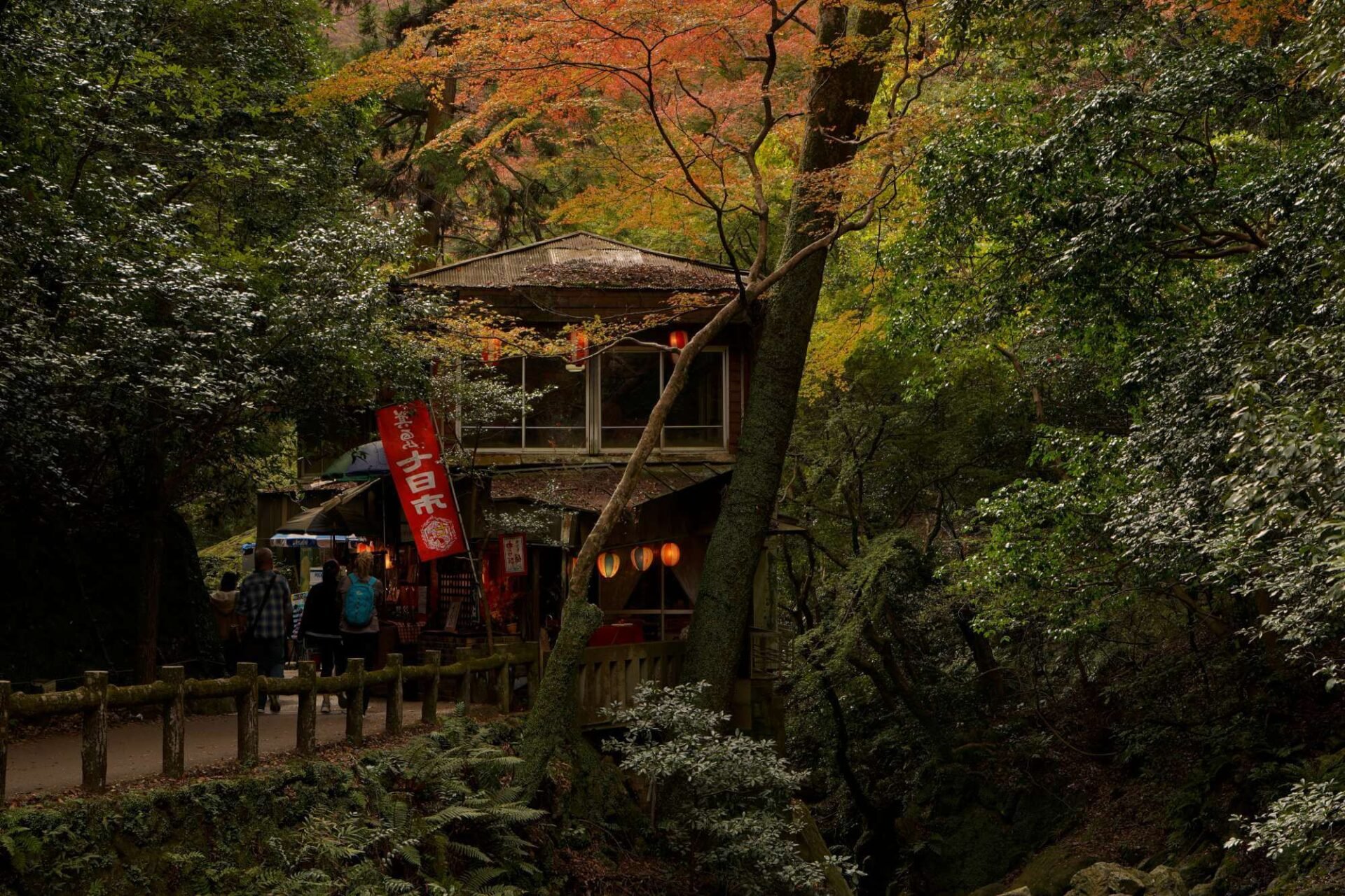 Minoh Waterfall - The Best Guide - Osaka.com
