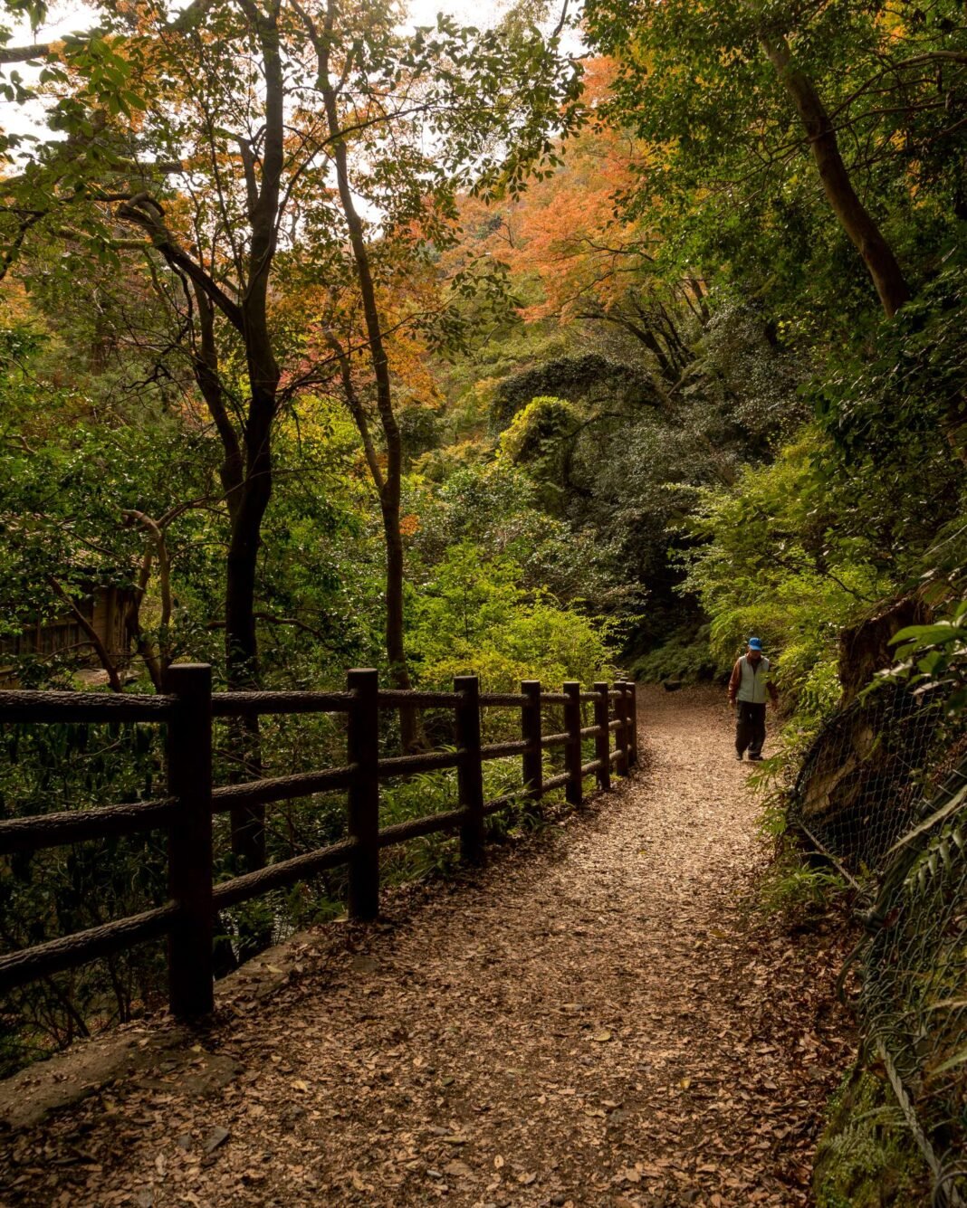 Minoh Waterfall - The Best Guide - Osaka.com