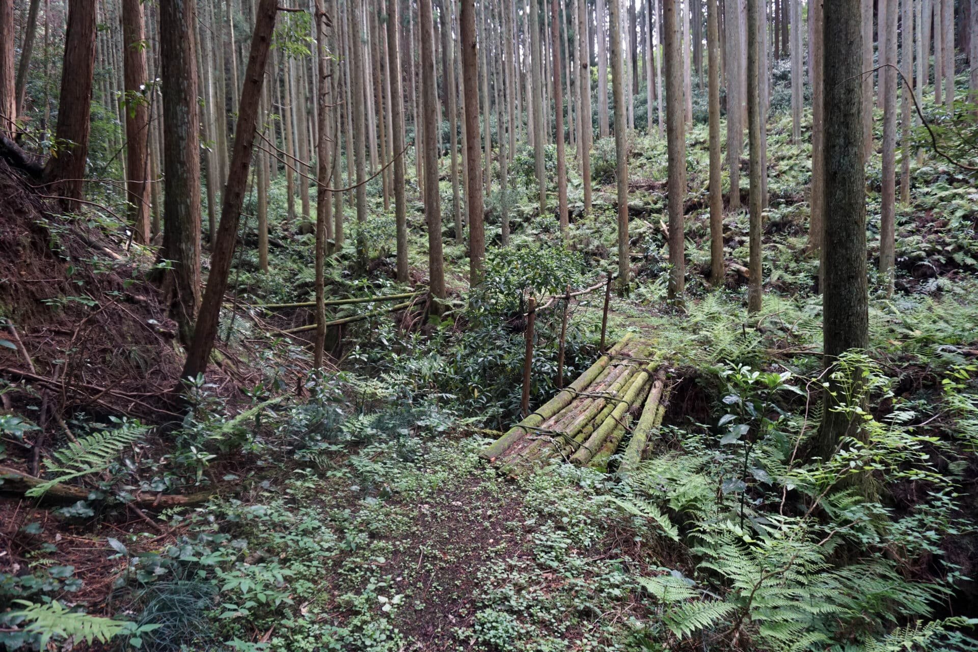 Off The Beaten Track in Rural Osaka - Osaka.com