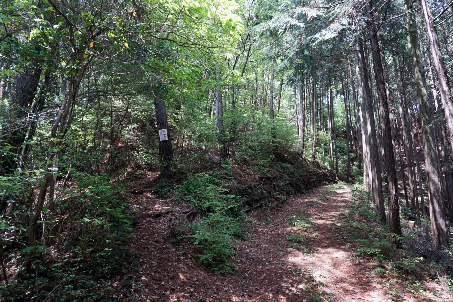 Off The Beaten Track in Rural Osaka - Osaka.com