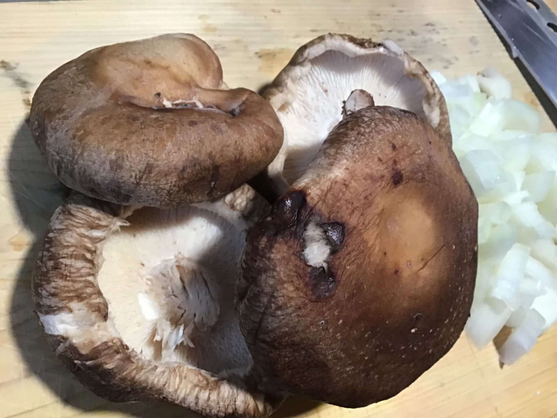 Ultimate Osaka Shiitake Mushroom and Izakaya Guide with 5 Original Recipes