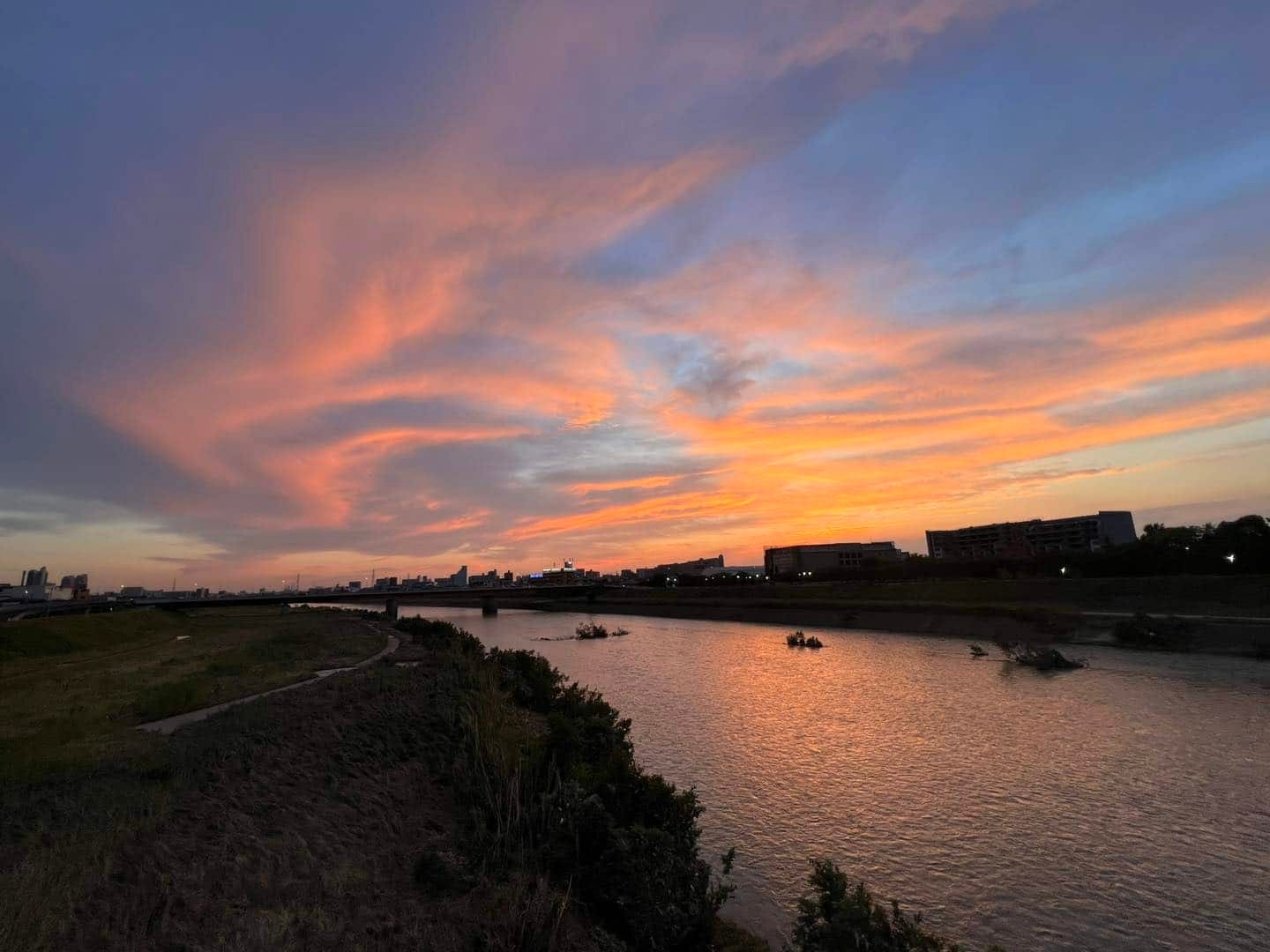 Cycling in Osaka | Taisho Ward: Cycle tour in wonderland - Osaka.com