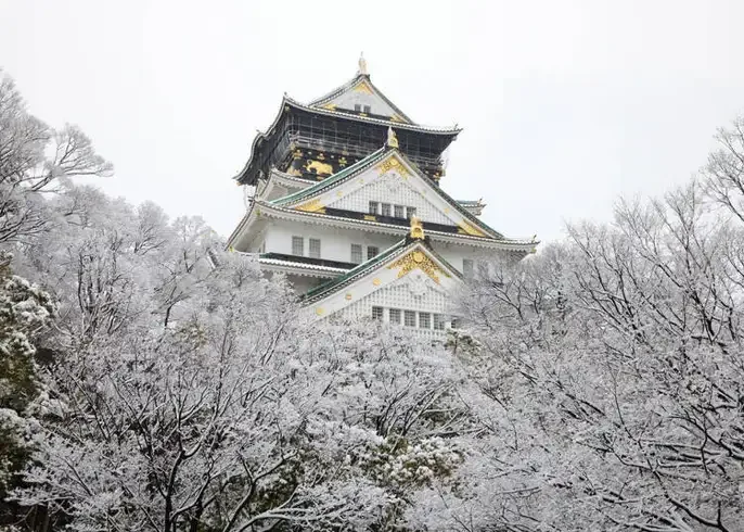 January Joys: Things to do In Osaka in January - Osaka.com